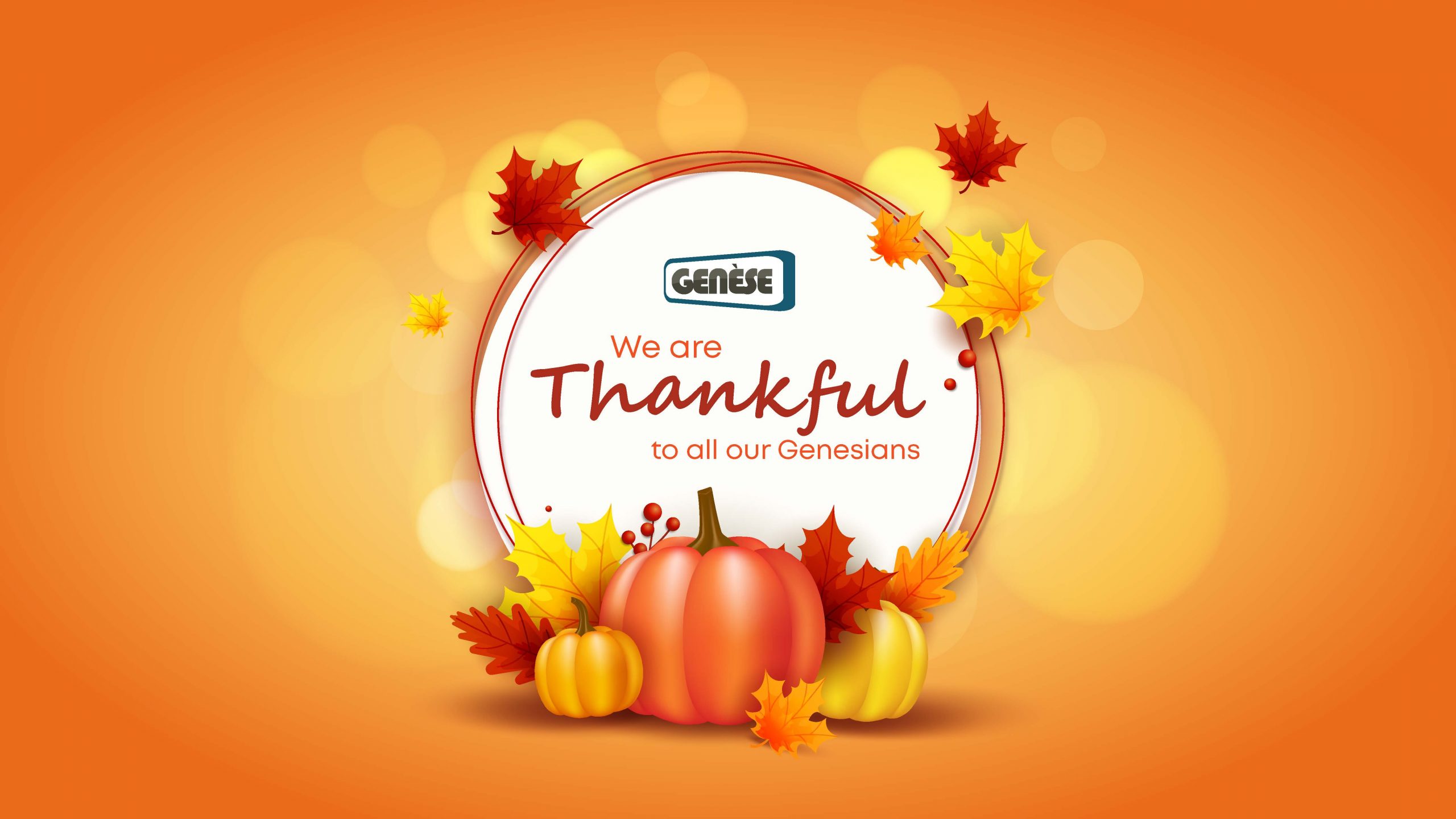 Thanksgiving - Genese Solution
