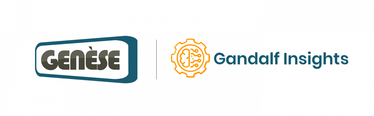 Optimizing Data Management in Fintech: A Holistic Approach with Genese ...